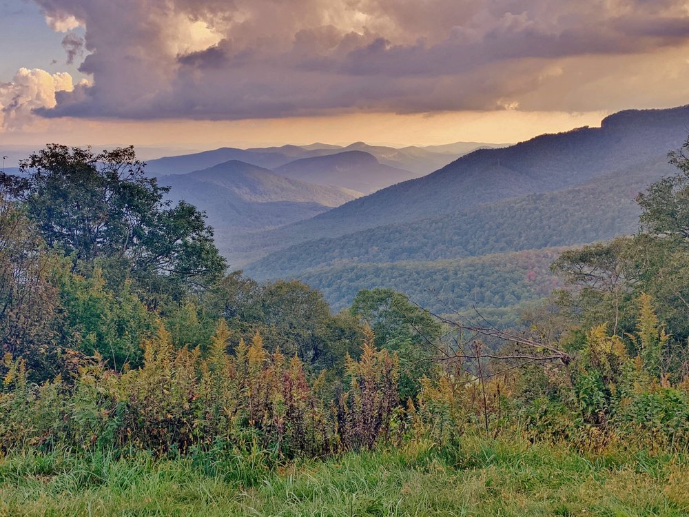 MARY CADE MAINWARING - TOWN AND MOUNTAIN REALTY - 315 Haywood Rd ...