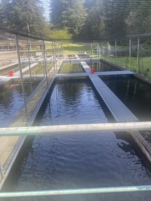 OXBOW FISH HATCHERY - Updated September 2025 - 1200 Frontage Rd ...