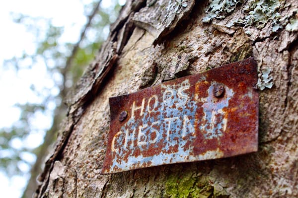 FORT BOYKIN - Updated October 2025 - 80 Photos - 7410 Fort Boykin Trl ...