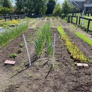 FRYING PAN FARM PARK - 229 Photos & 74 Reviews - 2709 W Ox Rd, Herndon ...