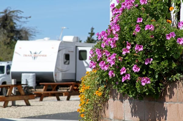 LE SAGE RIVIERA - Updated December 2024 - 17 Photos & 51 Reviews - 319 ...