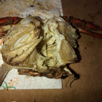 BLUE POINT CRAB HOUSE - Updated December 2025 - 35 Reviews - 594 Jermor ...