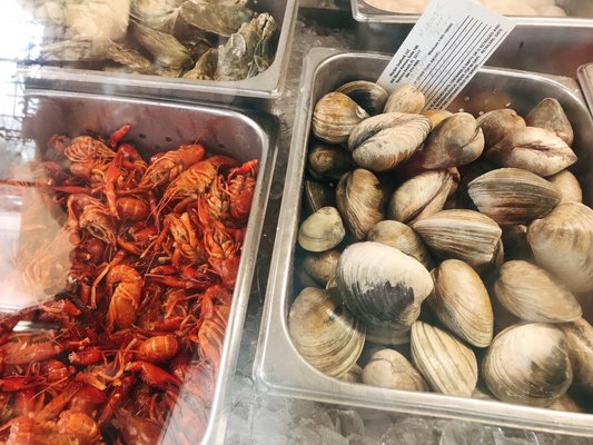 MACKER SEAFOOD - 259 Photos & 287 Reviews - 600 Mason Ave, Daytona ...