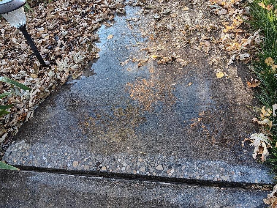 COMMODORE CONSTRUCTION - Updated September 2024 - Request a Quote - 74 Photos - 1392 Turf farm ...