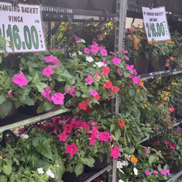 JOHN’S FARMS - Updated July 2025 - 117 Photos & 130 Reviews - 601 Old ...