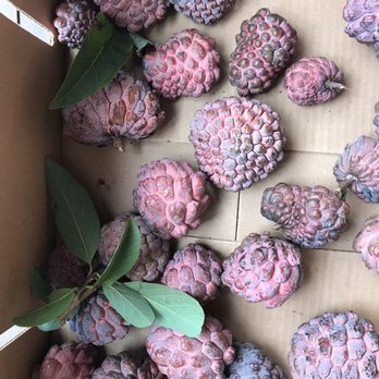 ONO ORGANIC FARMS - 87 Photos & 44 Reviews - Yelp