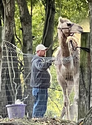 ROSE BRIDGE FARM & SANCTUARY - Updated December 2025 - 250 Photos & 87 ...