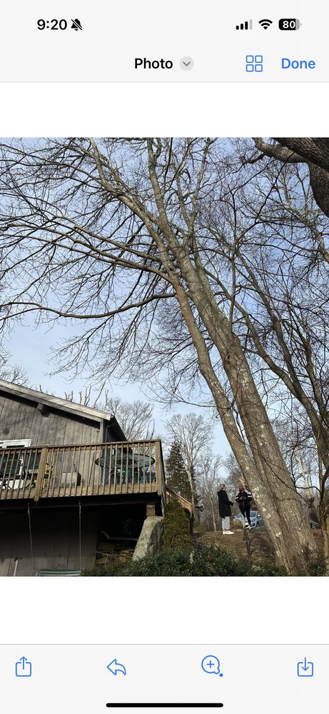 FALCONE LANDSCAPE DESIGN & MAINTENANCE - Updated October 2025 - 30 ...