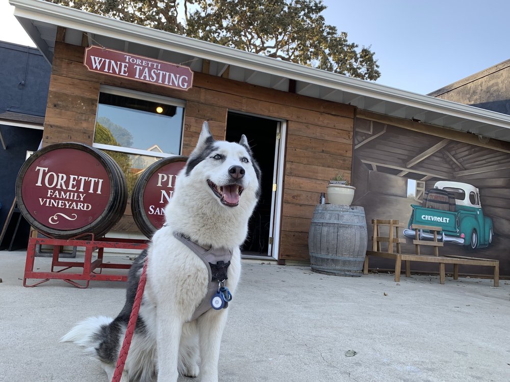 TORETTI FAMILY VINEYARD - Updated December 2024 - 127 Photos & 79 ...