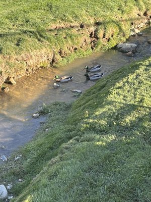 CAUGHLIN ATHLETIC CLUB - Updated October 2025 - 30 Photos & 58 Reviews ...