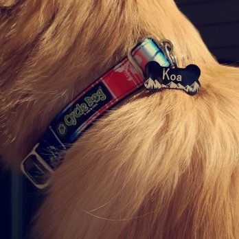 CYCLE DOG - Updated December 2025 - 50 Photos & 32 Reviews - 2056 NW ...