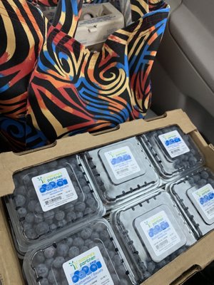 H & W PRODUCE - Updated January 2026 - 47 Photos & 32 Reviews - 9261 34 ...