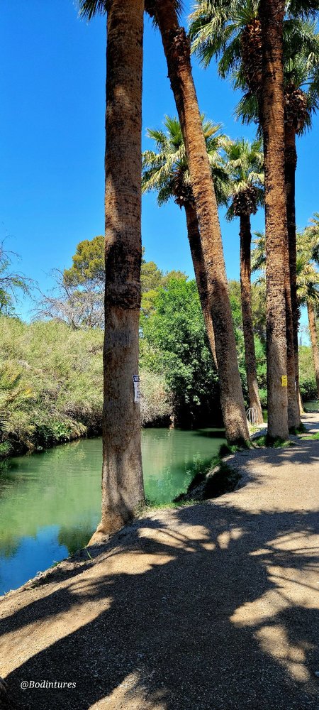 PALM CREEK RV RESORT AND PICNIC GROUNDS - Updated October 2025 - 144 ...