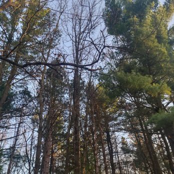 PROVIN TRAILS - Updated November 2025 - 29 Photos & 12 Reviews - 2900 4 ...