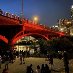 BATS UNDER THE CONGRESS AVENUE BRIDGE - 741 Photos & 505 Reviews - 100 ...