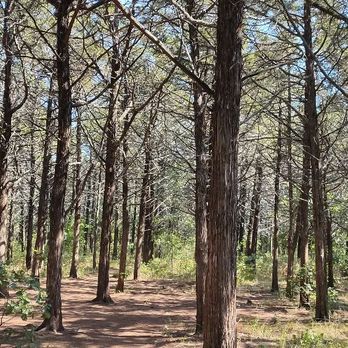PARALLEL FOREST - Updated December 2025 - Cedar Planting Trl, LAWTON, Oklahoma - Landmarks ...