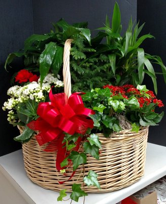 FLOWERAMA - Updated October 2025 - 82 Photos & 10 Reviews - 2495 ...