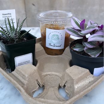 THE GROUND RITTENHOUSE - Updated September 2024 - 56 Photos & 24 ...