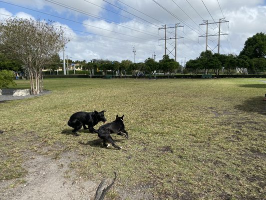 TRAILS & TAILS PARK - 120 Photos & 69 Reviews - 11645 NW 50th St, Doral ...