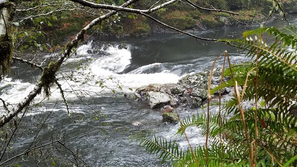 NEHALEM FALLS - Updated November 2025 - 18 Photos - Nehalem, Oregon ...