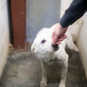 BAY VIEW BARK - Updated July 2025 - 212 Photos & 43 Reviews - 1820 S ...