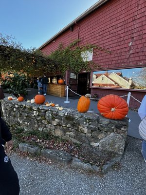 HOMESTEAD FARM OF JONES FAMILY FARMS - Updated October 2025 - 323 ...