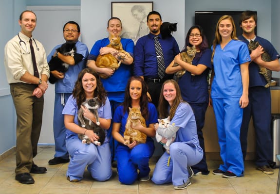 ORANGE VETERINARY HOSPITAL - Updated November 2025 - 13 Photos & 20 ...