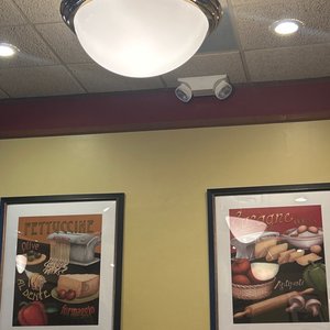 RED ROSE - 347 Photos & 685 Reviews - 1060 Main St, Springfield ...