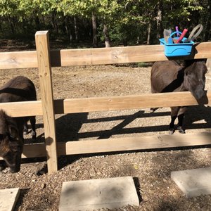 RED BARN RANCH - Updated March 2025 - 10 Photos - 23111 S Jefferson ...