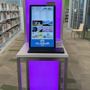 CHARLESTON COUNTY PUBLIC LIBRARY - WANDO MT. PLEASANT - Updated ...