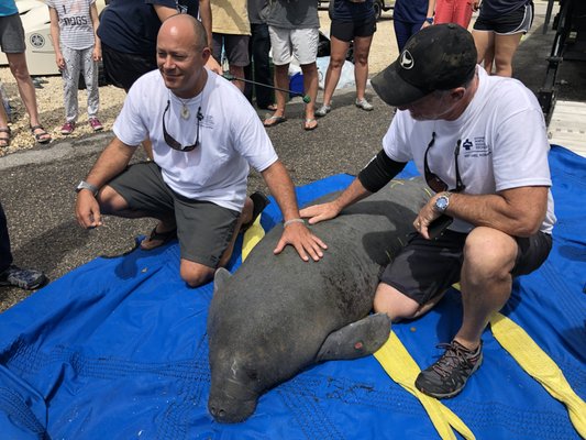 CALUSA CAMPGROUND RESORT MARINA - Updated August 2024 - 33 Photos & 20 ...