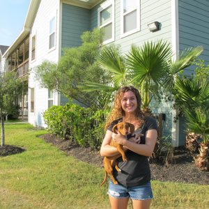 THE COVE AT GYB - Updated May 2025 - 15 Photos - 601 N Holiday Dr ...