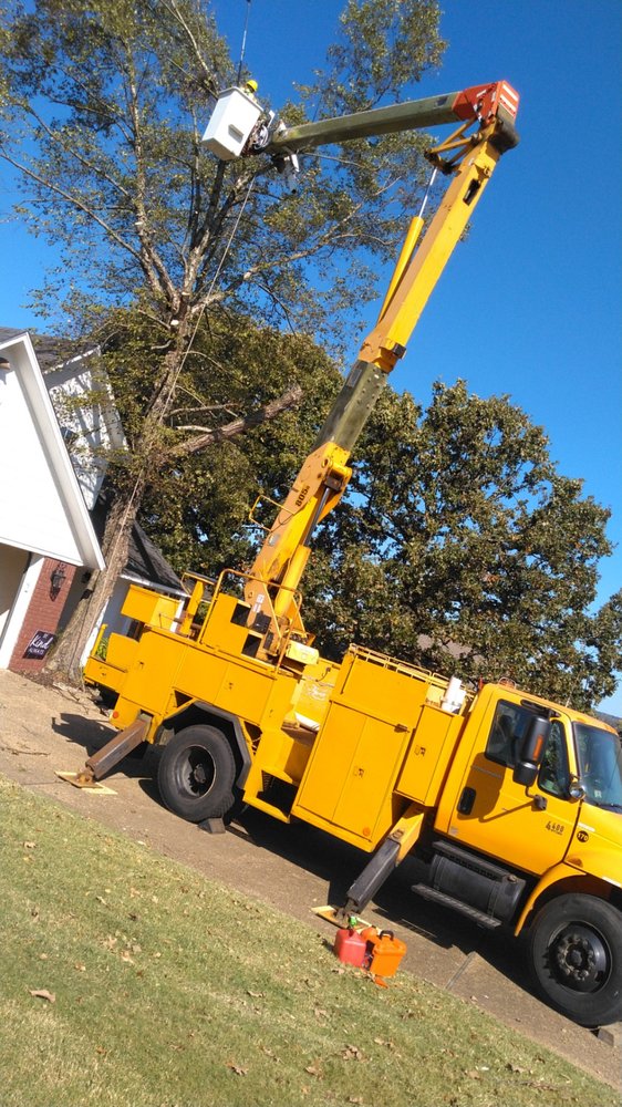 COMPAS TREE TRIMMING SERVICE - Fort Smith, Arkansas - Tree Services ...