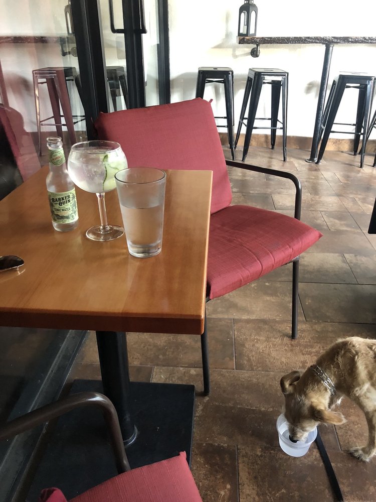 THE BLIND RABBIT - Updated January 2025 - 13 Photos - 2533 East ...