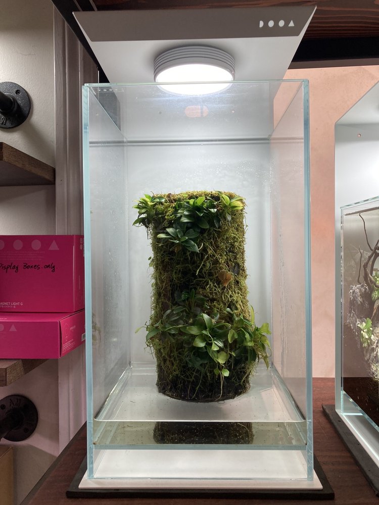 AQUA FOREST AQUARIUM - Updated July 2025 - 152 Photos & 277 Reviews ...