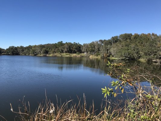 EDWARD MEDARD PARK - 86 Photos & 32 Reviews - 4002-4098 Edward Medard ...