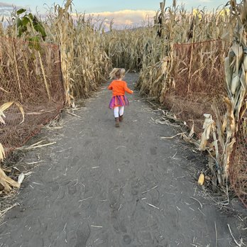 FERRARI FARMS - Updated October 2024 - 145 Photos & 60 Reviews - 4701 ...