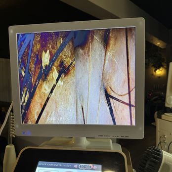 HARU HEAD SPA - Updated July 2024 - 43 Photos & 40 Reviews - 4411 ...