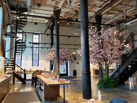 FRAN’S CHOCOLATES - 245 Photos & 59 Reviews - 5900 Airport Way S ...