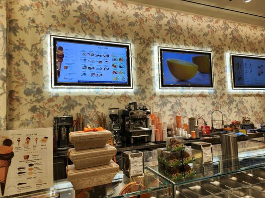 VENCHI - Updated June 2024 - 70 Photos & 10 Reviews - 6000 Glades Rd ...