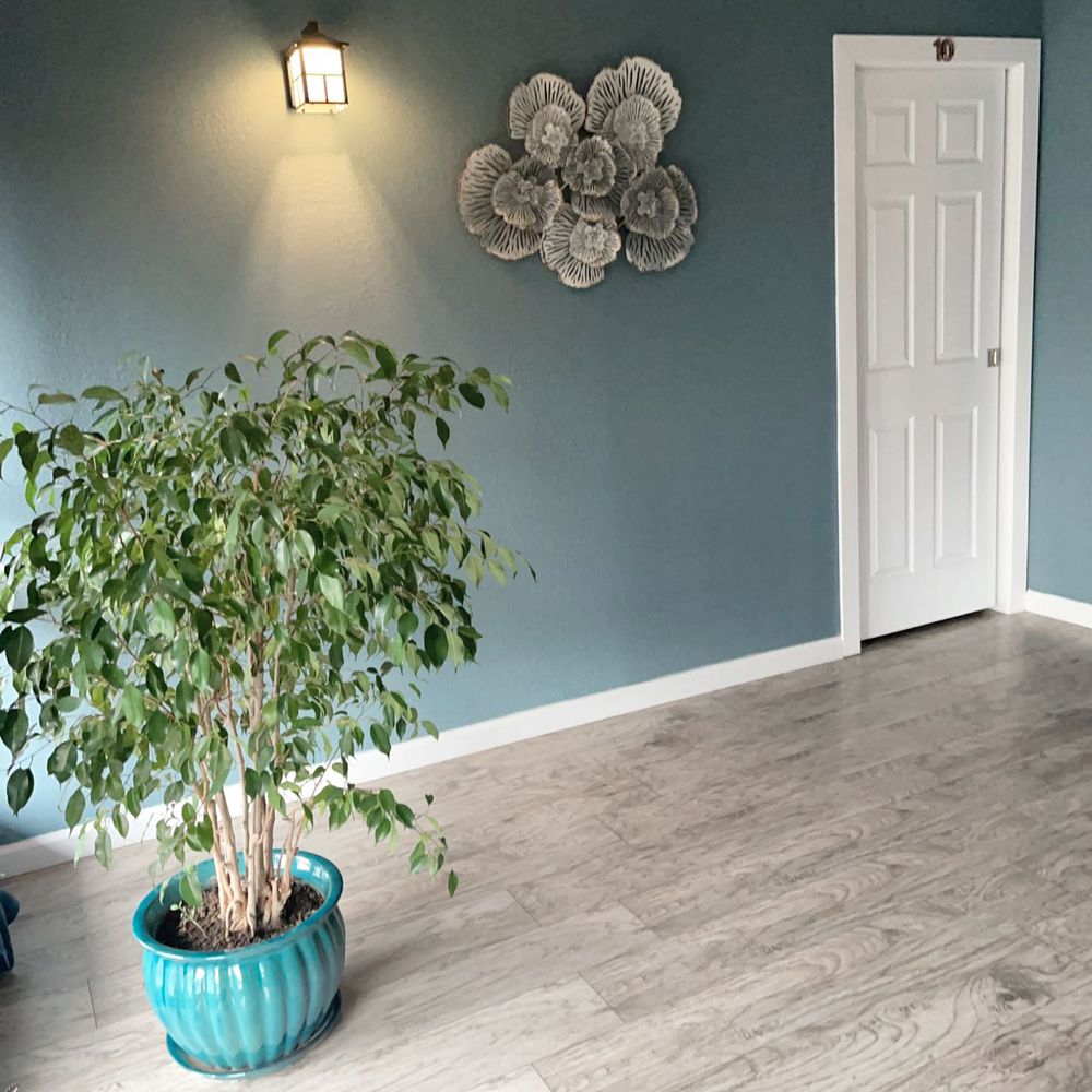 SPRINGTOWN DAY SPA - Updated April 2024 - 38 Photos & 127 Reviews - 955 ...