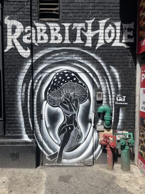 RABBIT HOLE LOUNGE - Updated December 2025 - 167 West 48th St, New York ...