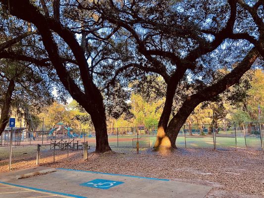 MALLERY PARK - Updated August 2025 - 10 Photos - 601 Mallery St, St ...