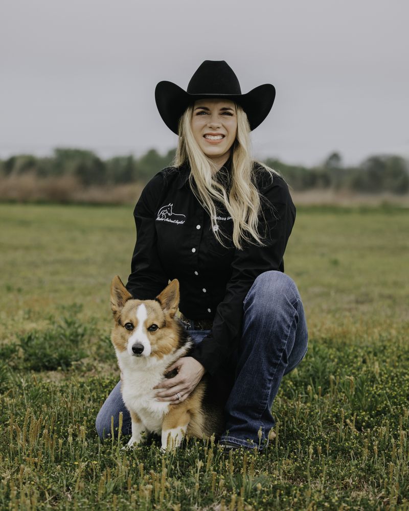 MEEKER ANIMAL HOSPITAL - Updated January 2026 - 343805 E Hwy 62, Meeker ...