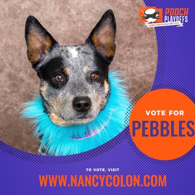 NANCY COLÓN PHOTOGRAPHY - Updated September 2025 - 10 Photos - Sun City ...