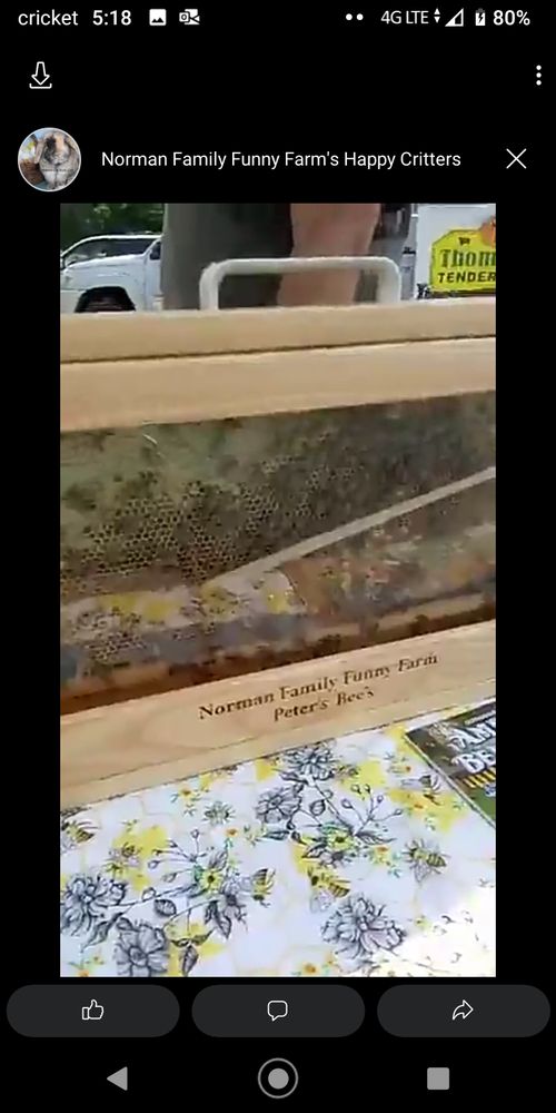 NORMAN FAMILY FUNNY FARM & NORDOGS KENNEL - Updated July 2025 - 35 ...