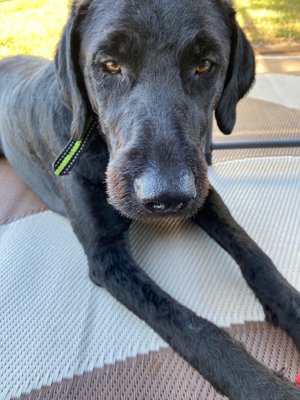 WA-KE HATCHEE COMMUNITY PARK - Updated March 2025 - 12 Reviews - 16760 ...