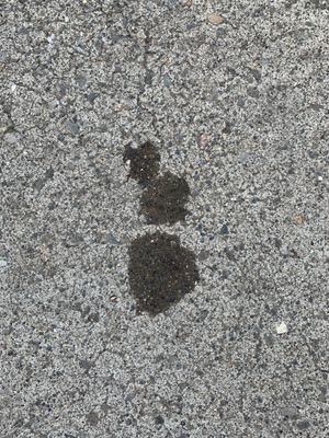 TRUCKS PLUS USA - Updated August 2025 - 12 Photos & 15 Reviews - 3500 ...