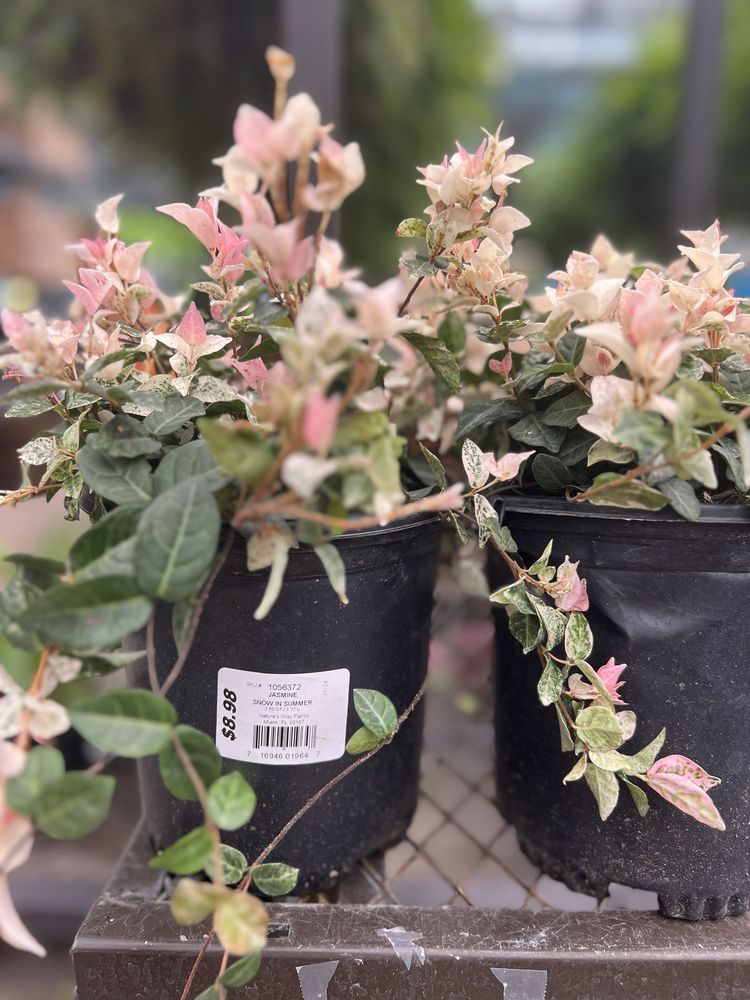 LOWE’S HOME IMPROVEMENT - Updated October 2025 - 30 Photos & 49 Reviews ...