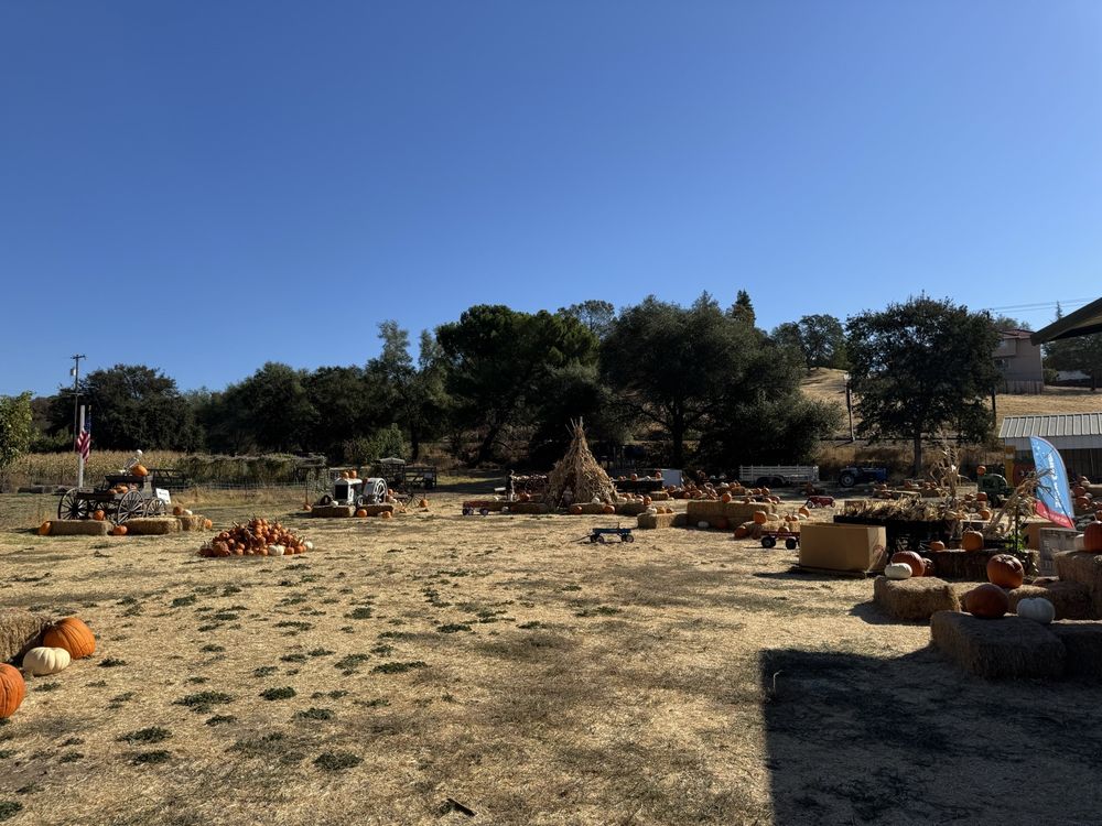 ZITTEL FARMS - Updated June 2026 - 55 Photos & 50 Reviews - 6781 Oak ...
